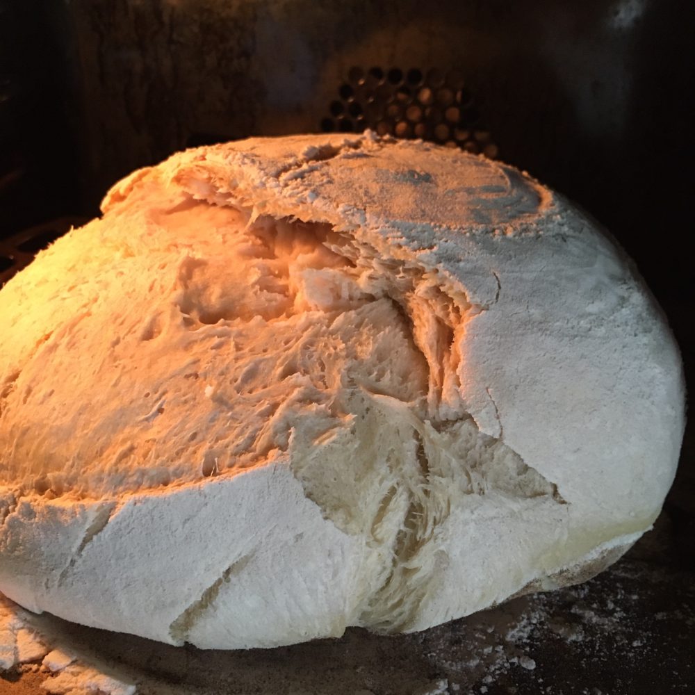 Box Kit Pain Levain - Coffret Starter Kit de demarrage Levain 24H